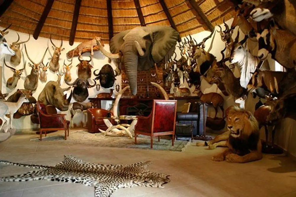 What Is Taxidermize the Hunter: A Fascinating Art? - Meaningful Spaces